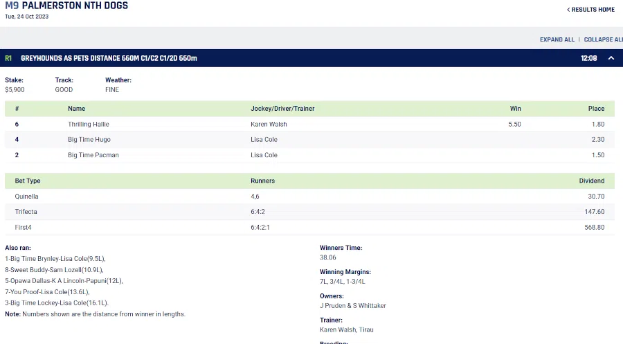 Tab NZ Racing review and walk-through for beginners